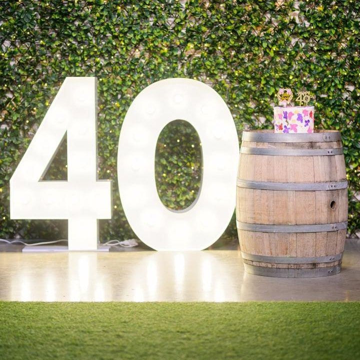 Giant Light Up "40" Numbers (For Hire) - 1.2m – Neon Daddy