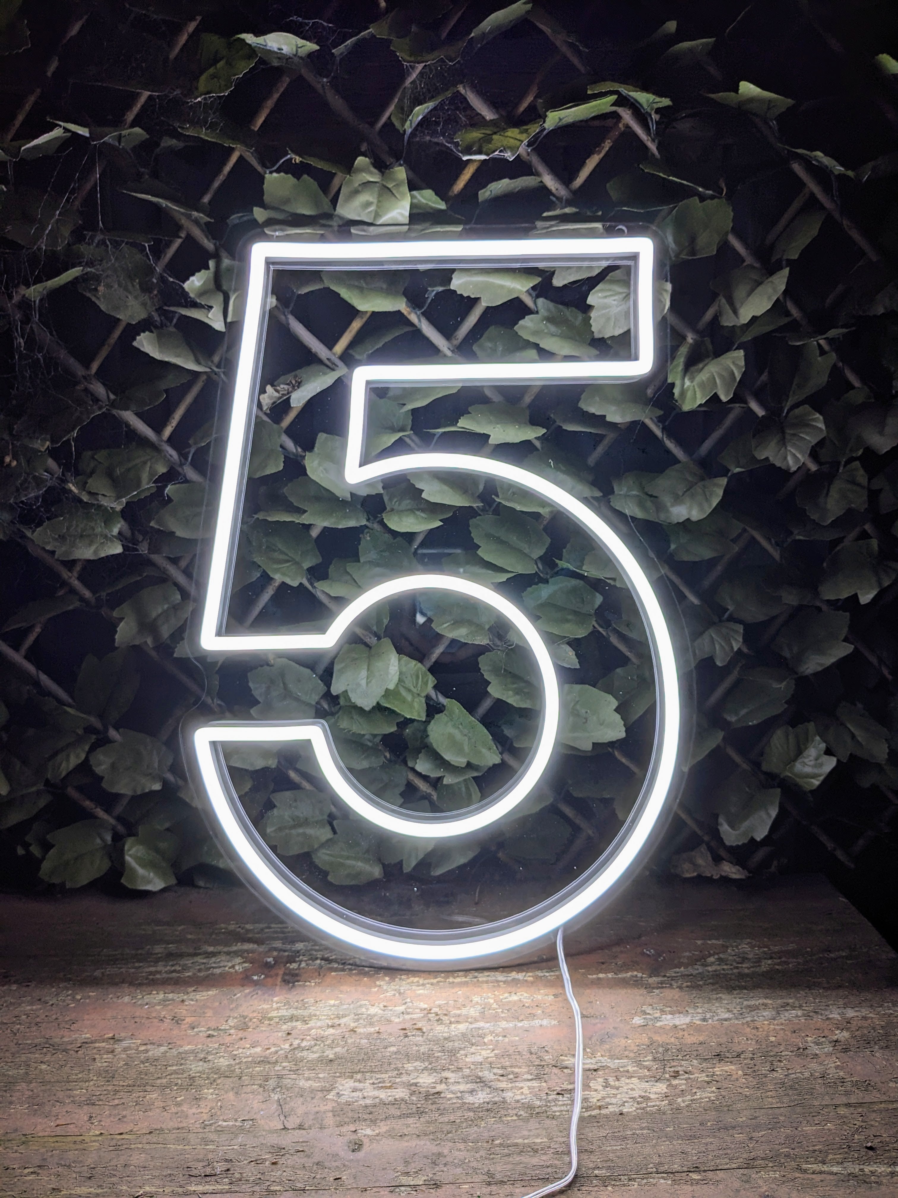 "5" Neon Sign For Hire – Neon Daddy
