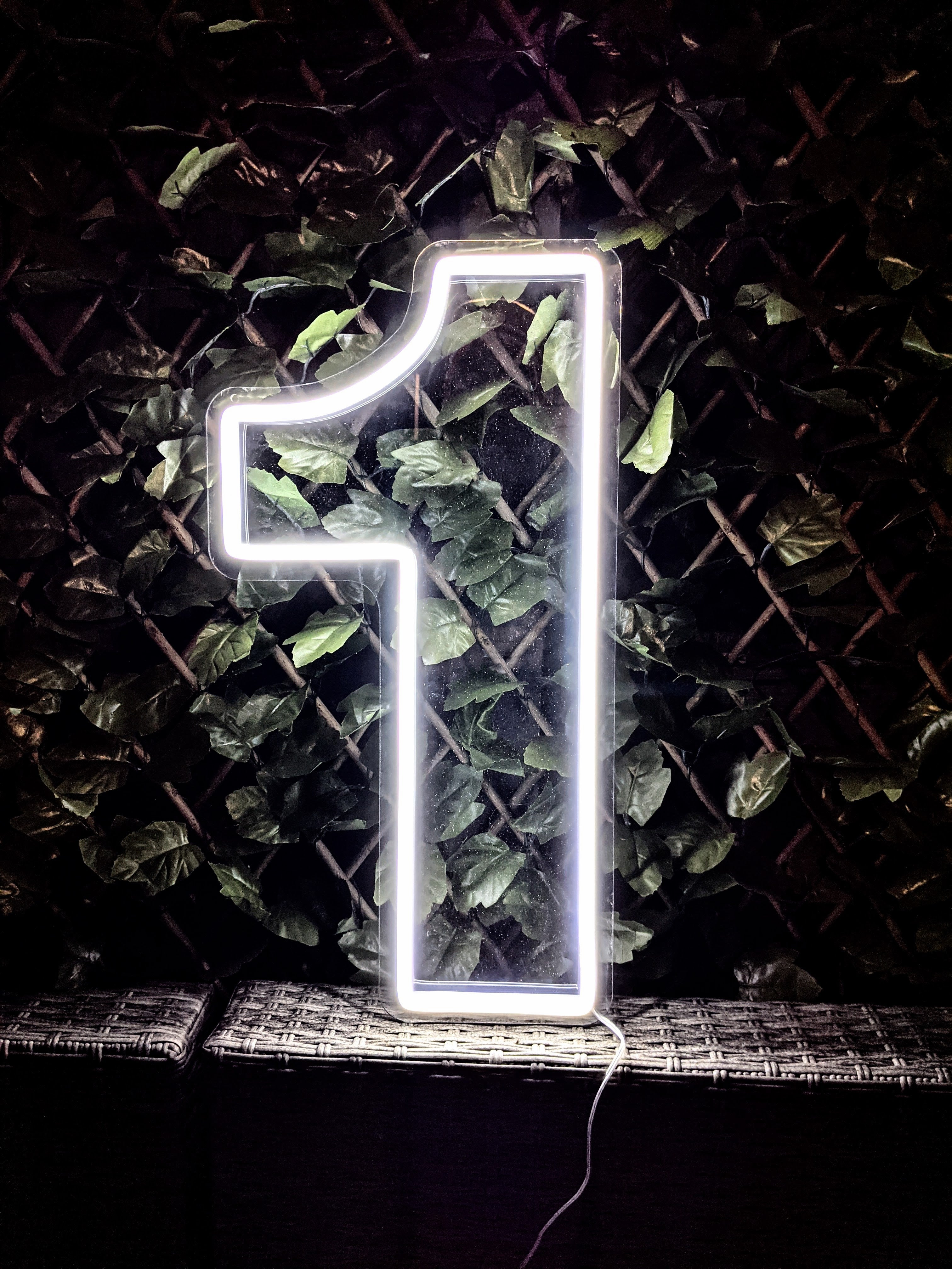 "1" Neon Sign For Hire – Neon Daddy