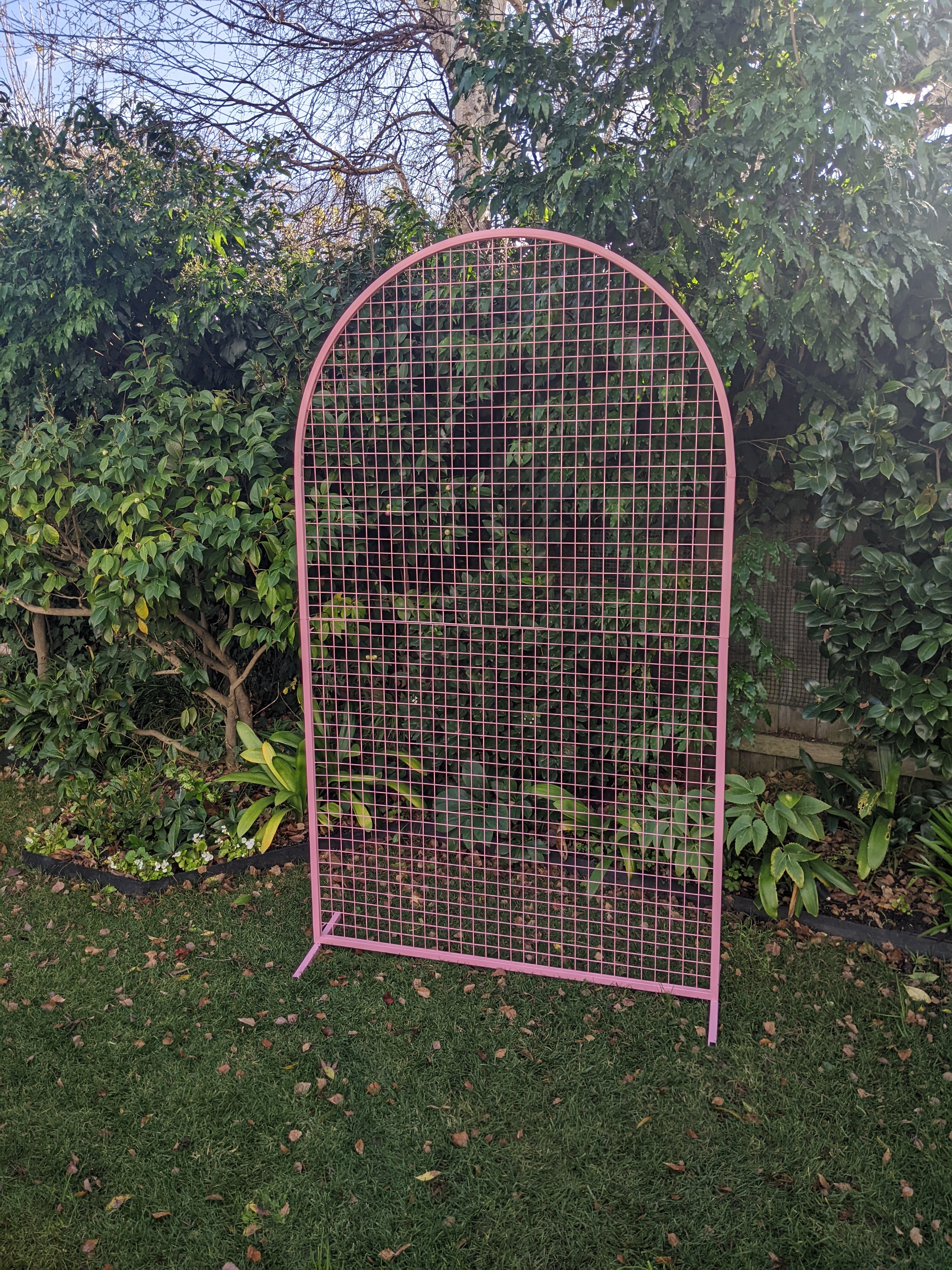 Arch Mesh Frame (Pink) For Hire – Neon Daddy