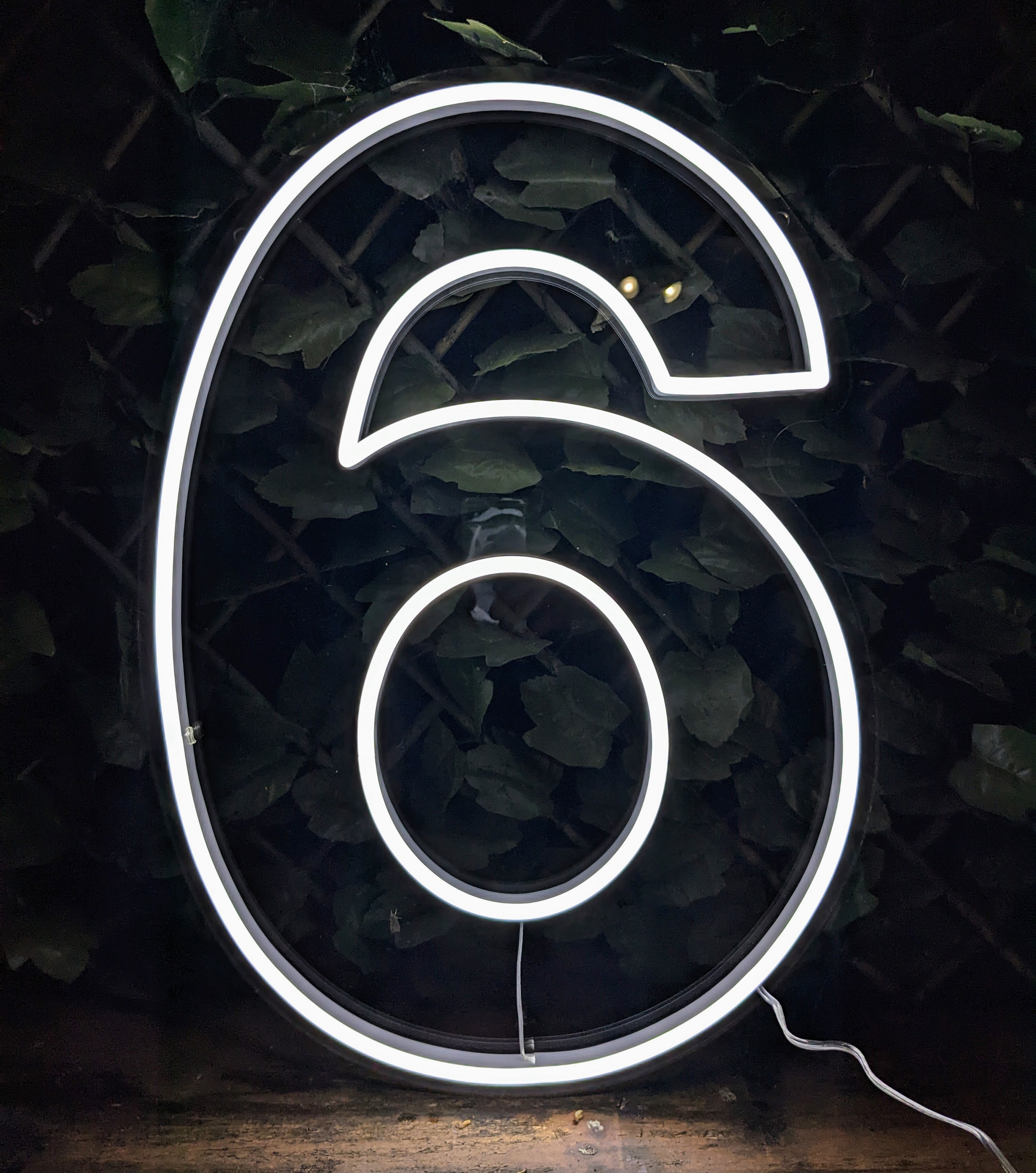 "6" Neon Sign For Hire – Neon Daddy