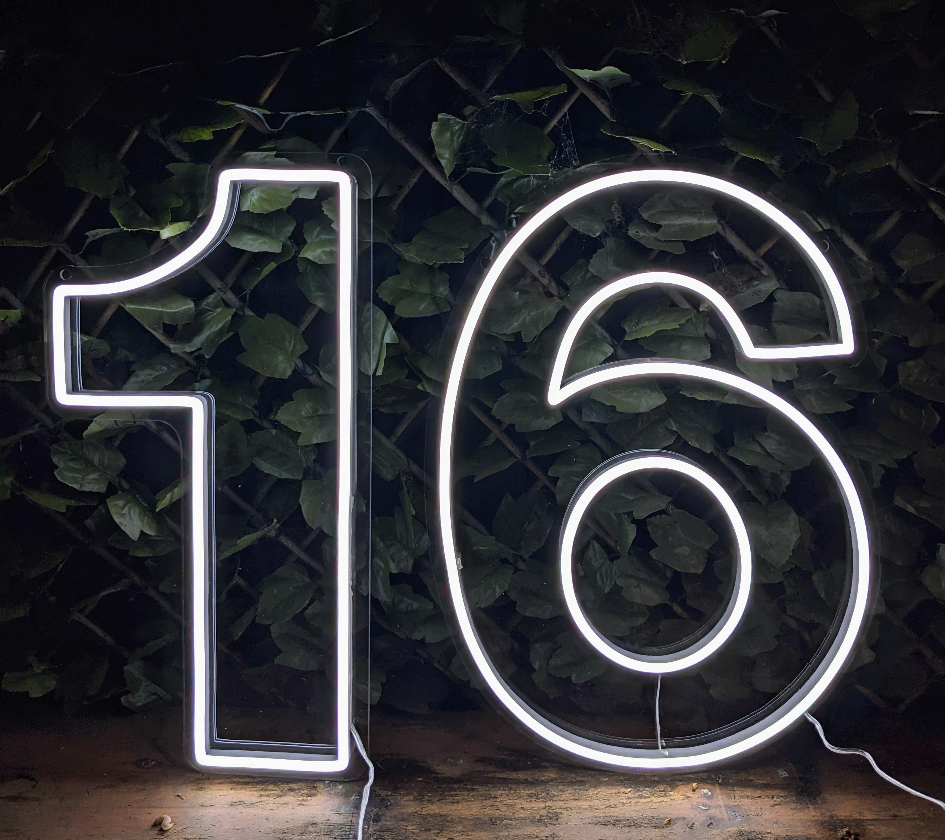 "16" Neon Sign For Hire – Neon Daddy